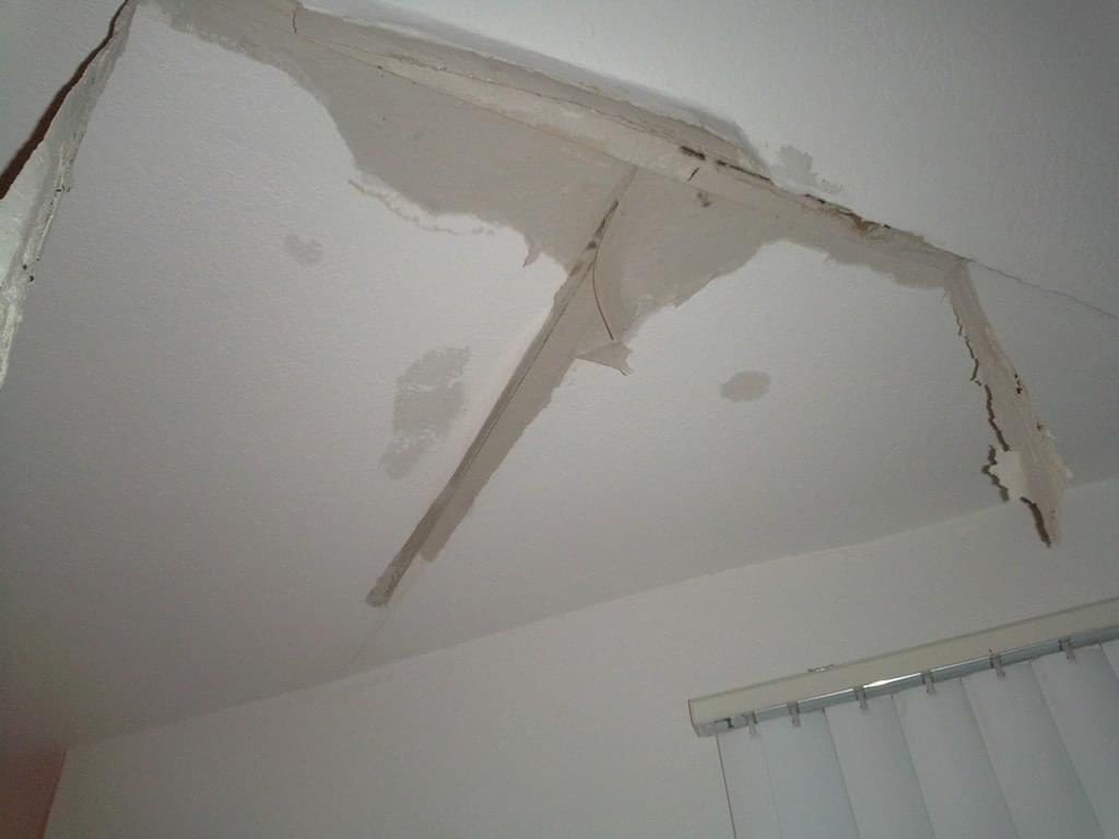 5 Steps to Take for a Roof Leak - Rescue My Roof