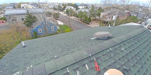 Bird Poo and Your Roof - Rescue My Roof