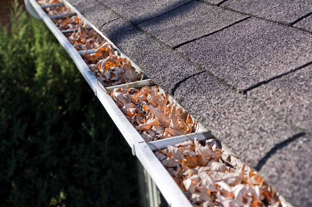 Top 6 Common Gutter Problems & What to Do - Rescue My Roof
